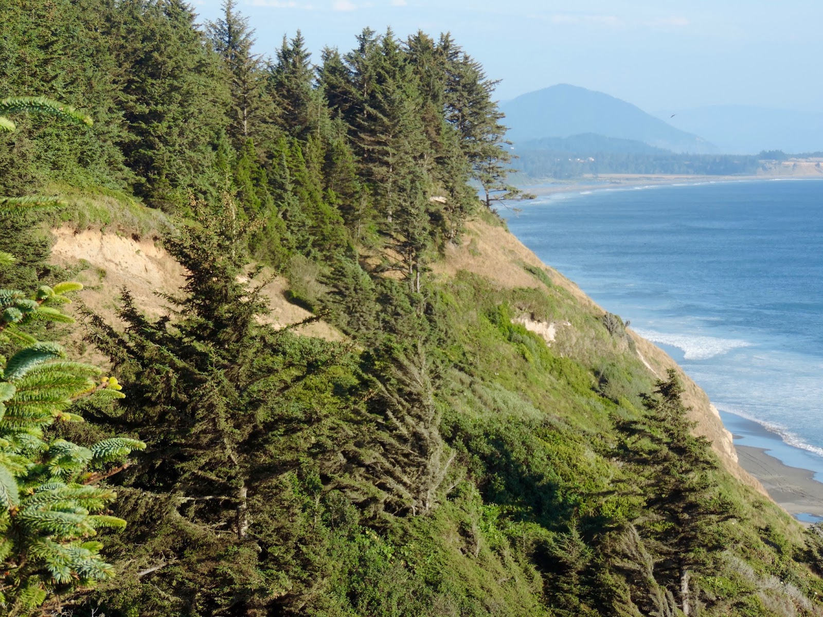 Randi Joy's Travel Blog: Oregon coast - Ophir Beach to Cape Blanco