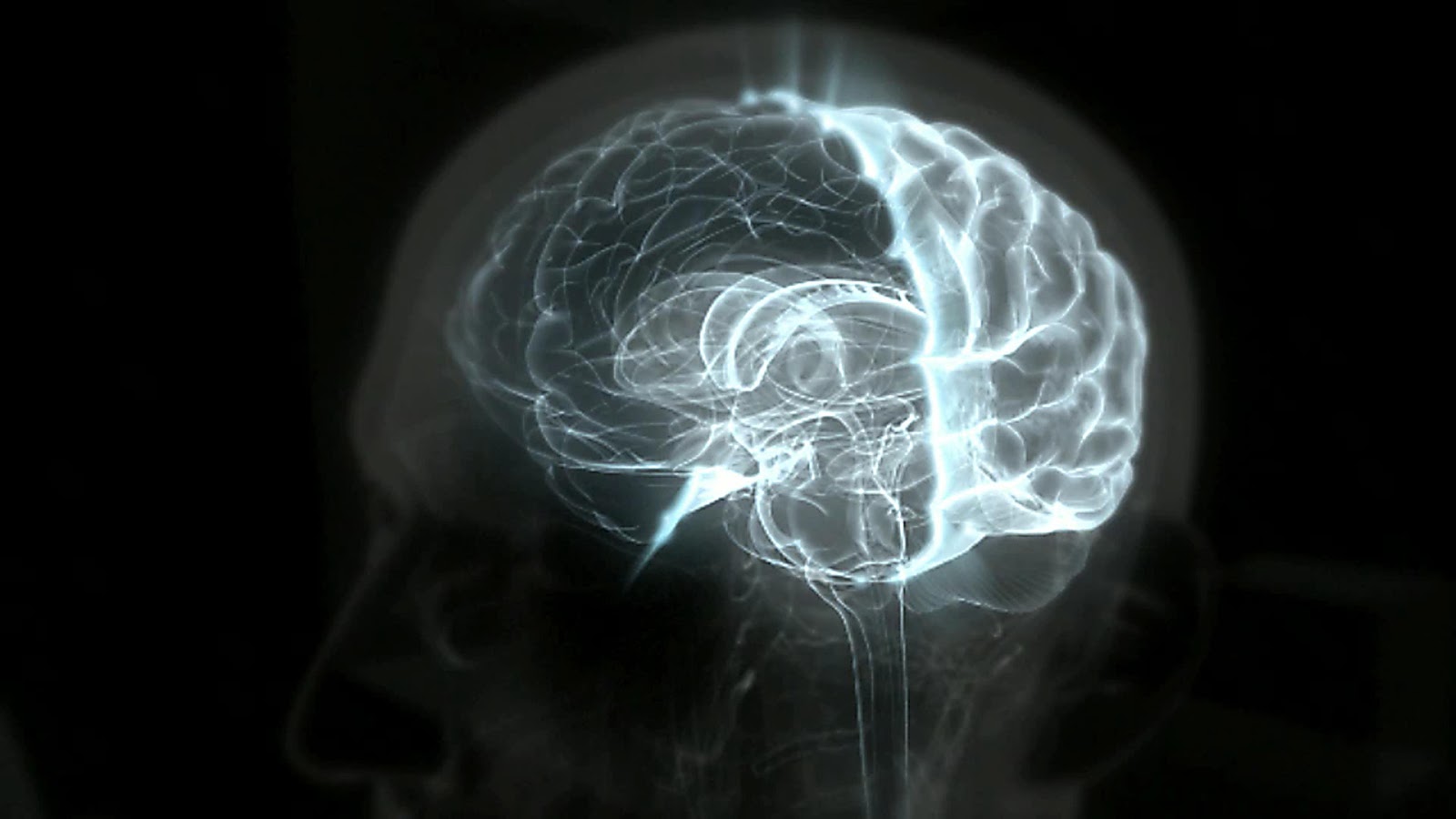 El inconsciente puede llegar a conocerse a través de algunasde sus ...