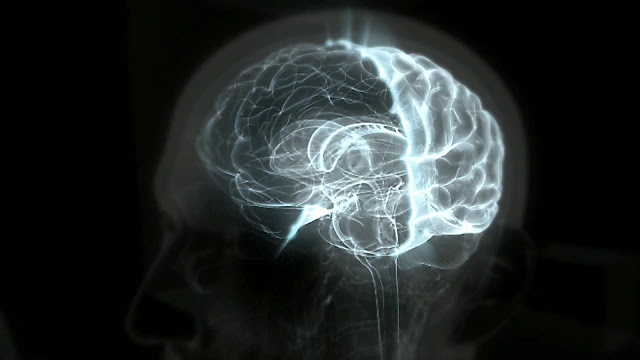 El inconsciente puede llegar a conocerse a través de algunasde sus ...