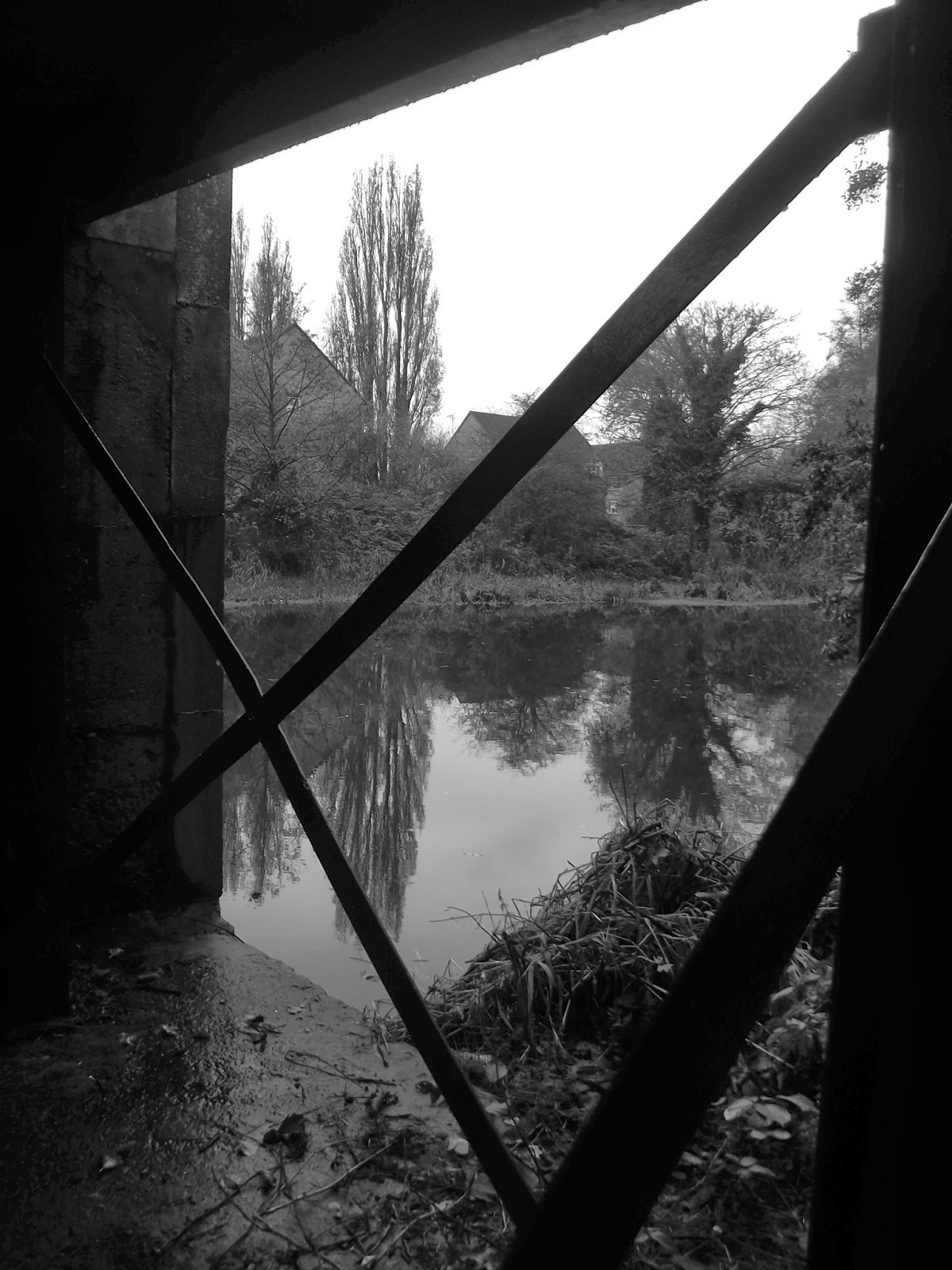 EastScapes: Dolphin Bridge