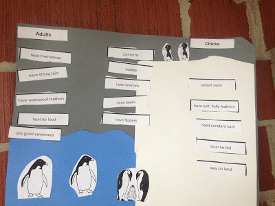 Sunshine, Sand and Scissors: Polar Animals