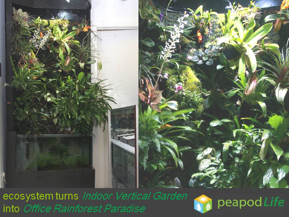 PeapodLife: Ecosystem Turns Indoor Vertical Garden into Office ...