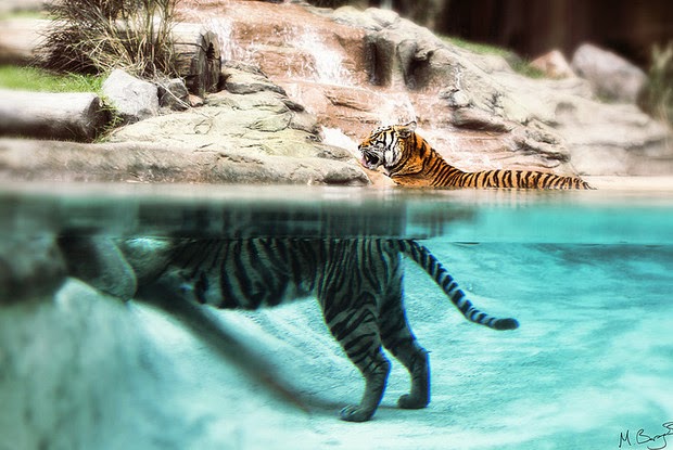 50 Optical Illusions To Trick Your Eyes ~ Unusual Things