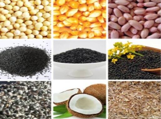 palm oil machine: edible oil , vegetable oil making process,kinds of ...