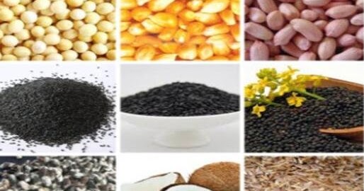 palm oil machine: edible oil , vegetable oil making process,kinds of ...