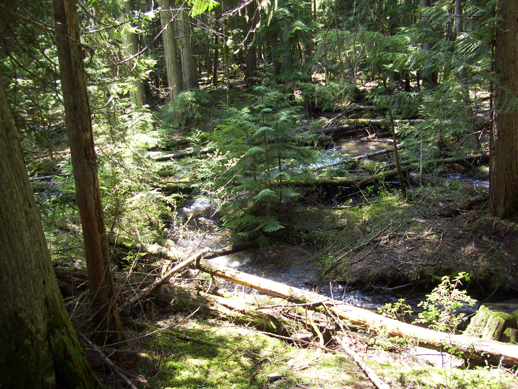 Hiking in the Springtime - Roads to Everywhere