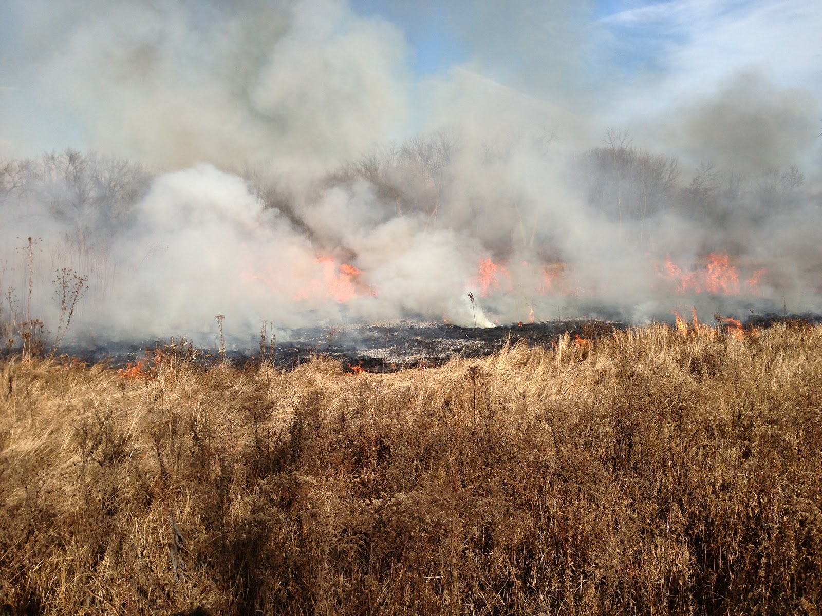 Vestal Grove: Burn at Somme Prairie Grove - Quick Report