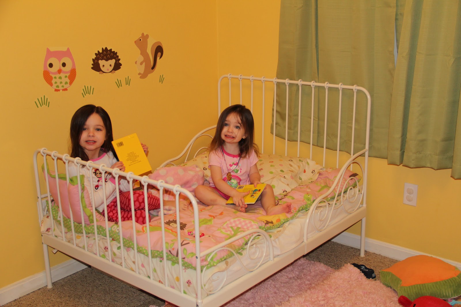 My Girls: My Little Girl and Her Big Girl Bed
