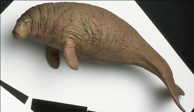 6 Fabulosas espécies de animais extintas ~ Você Sabia?