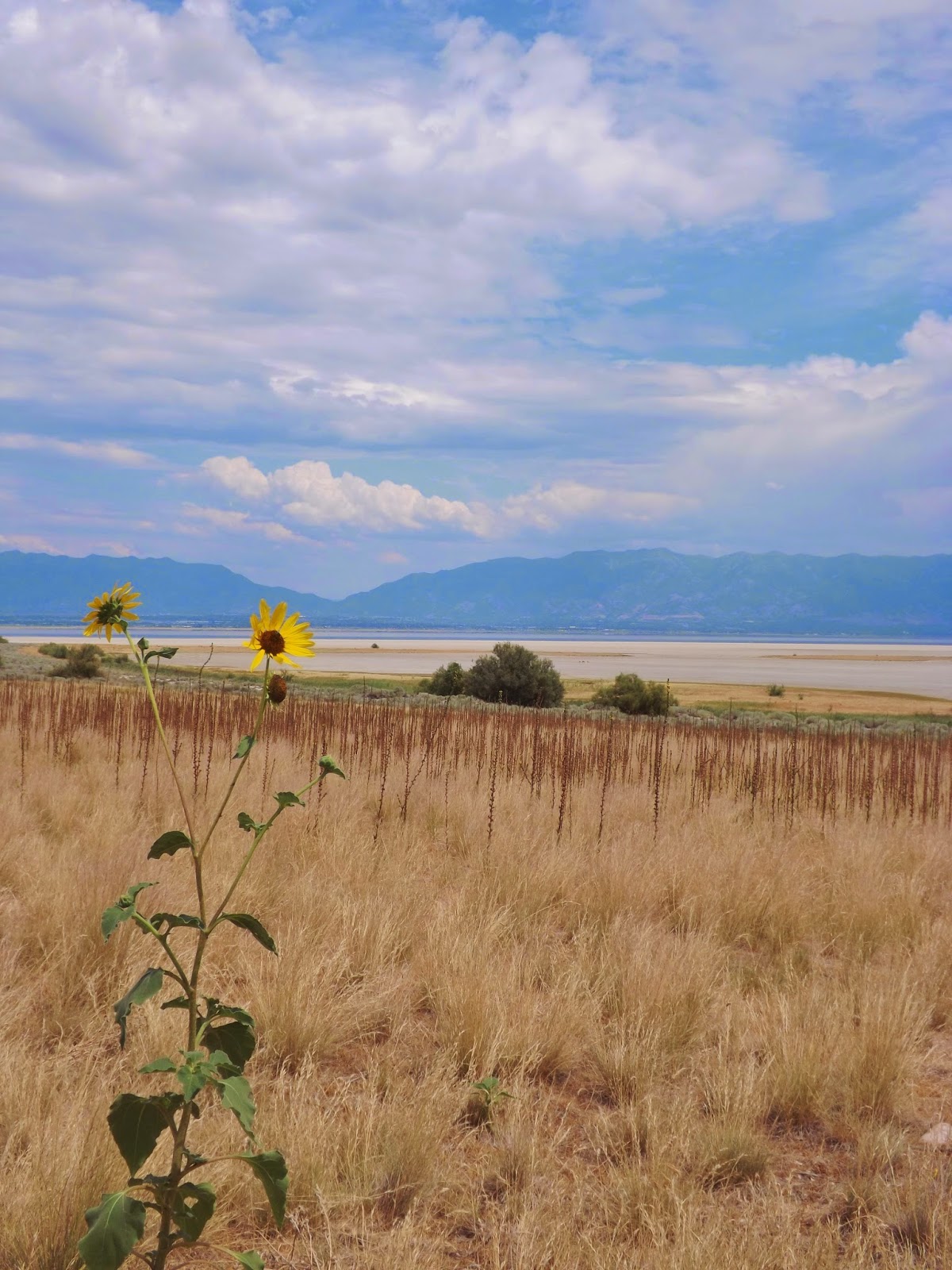 Hand Hug: Antelope Island
