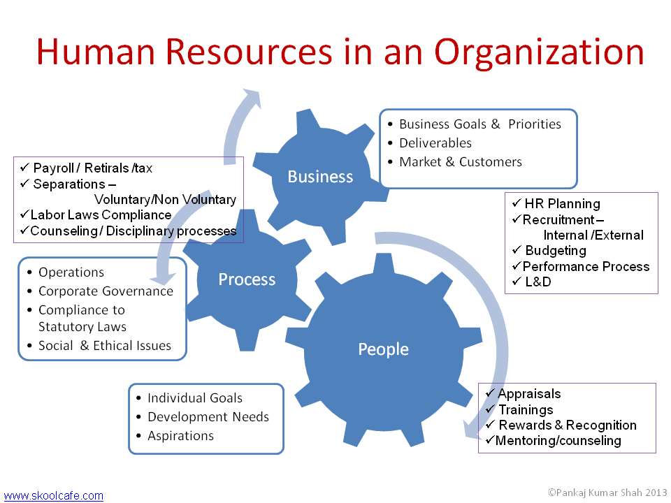 Perspective...People...Passion: Understanding Human Resources
