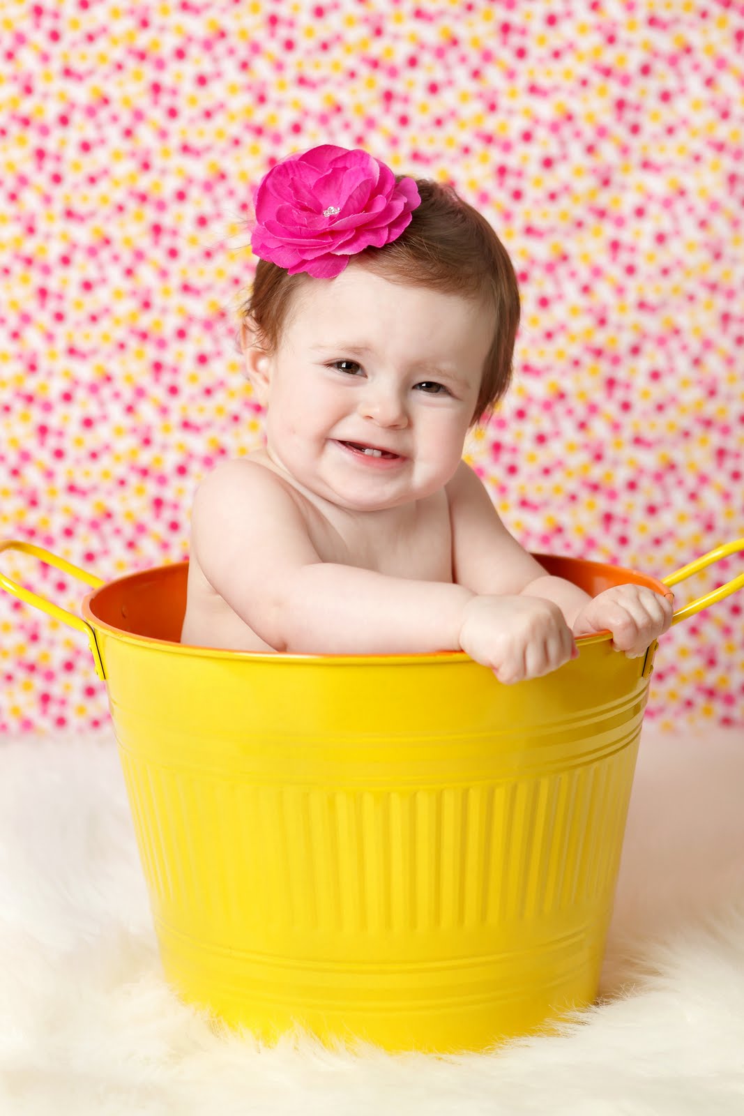 The Hollywood Stroller