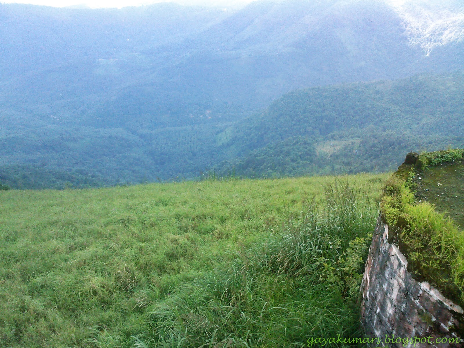 A Trip To PaithalMala: PaithalMala / Vaithalmala