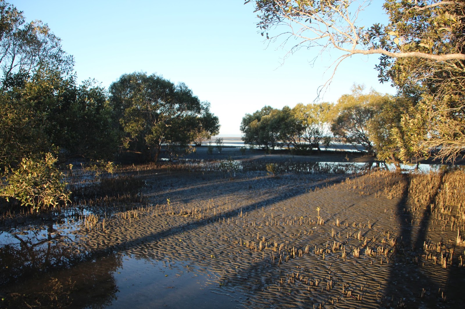 Beachmere Conservation Park