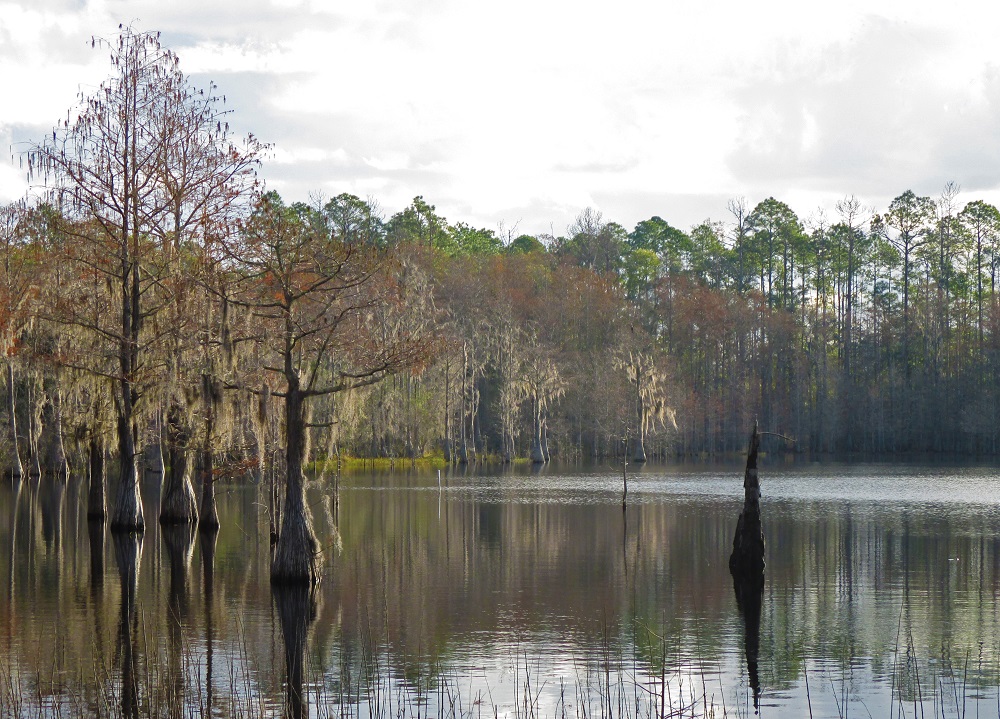 Heart and Sole: The many wonders of Pine Log State Forest