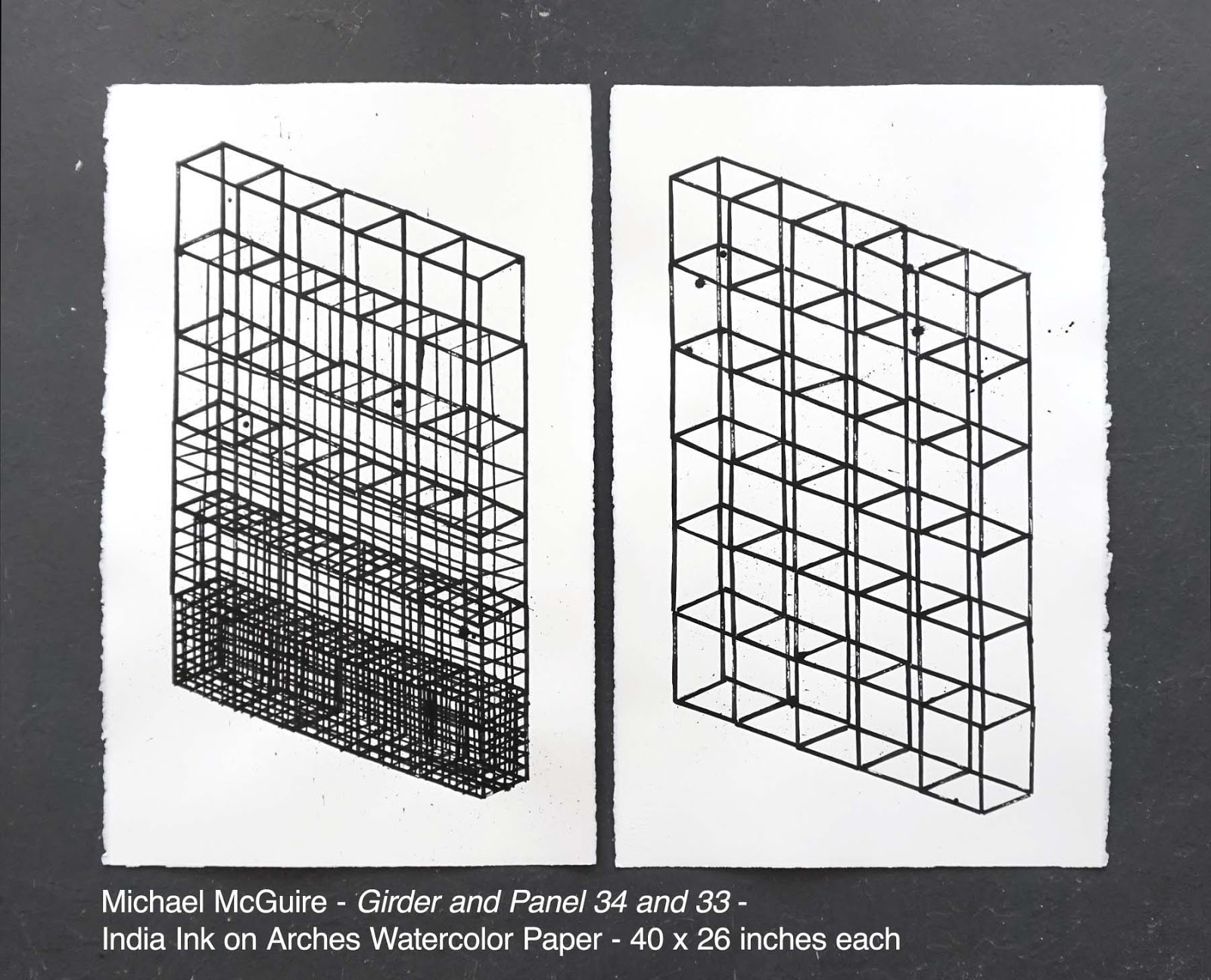 Michael McGuire: 2017