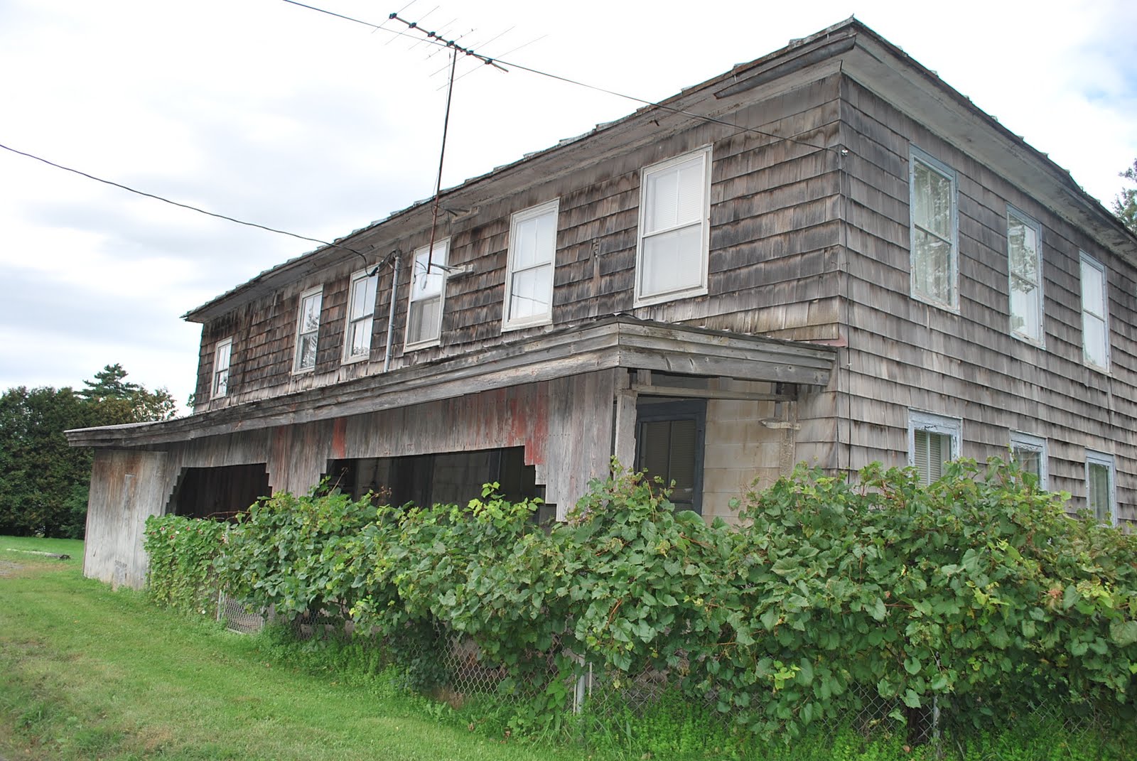 The Traveling Indian Lily: The Coon Rod