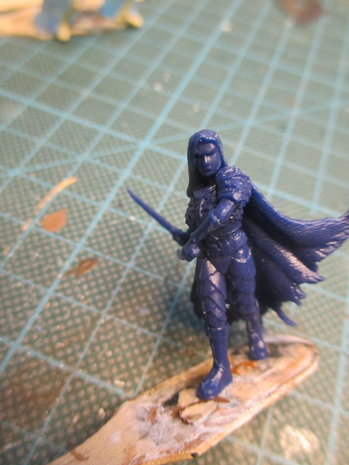 The Miniatures Man: Howling hag and other Ravenloft minis + Hellknight