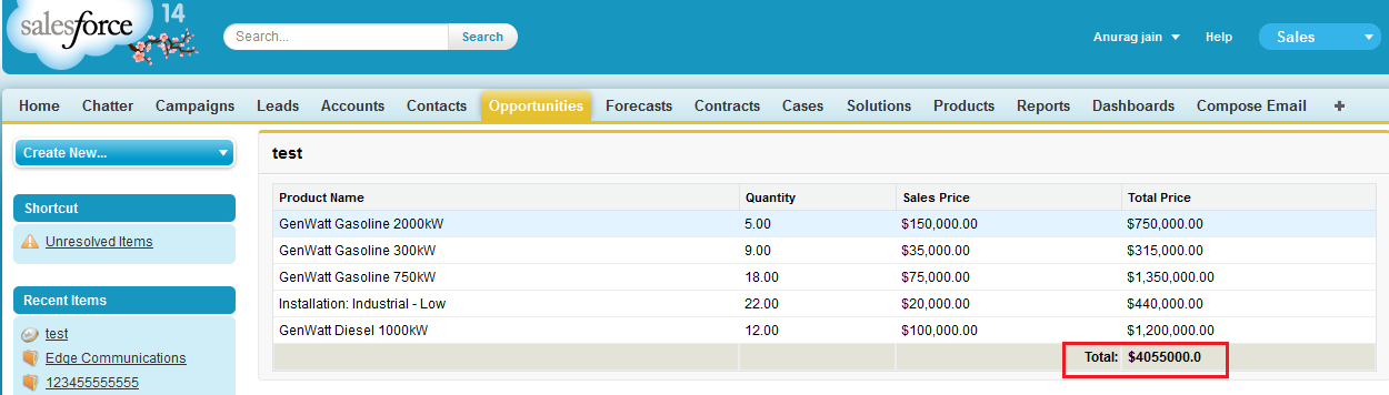 Anurag Jains Blog For Salesforce Adding Summary Field As Footer Of Pageblock Table In Vf Page