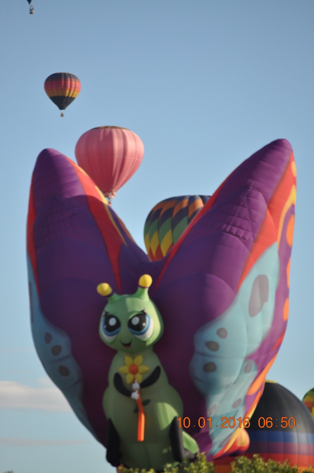 Travels with Zia and Zia II: Albuquerque Balloon Fiesta