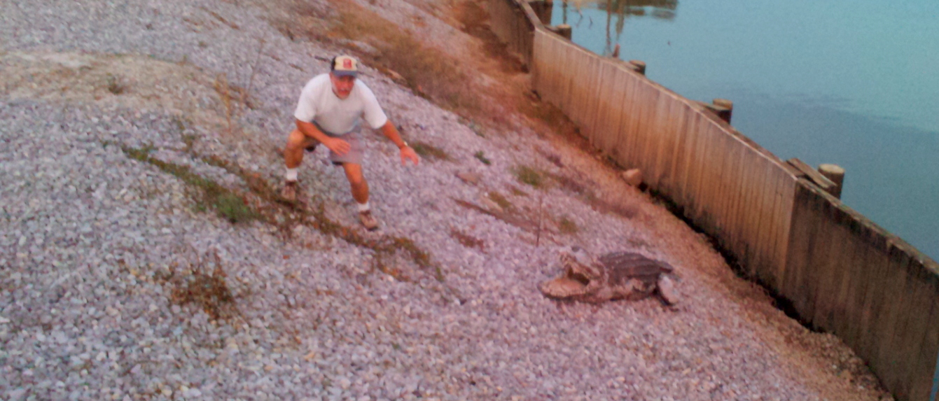 2 Loopers And A Portie