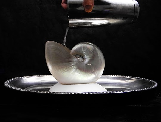 Gastronomista: The Opal Nautilus