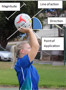 The Biomechanics of a Netball Shot