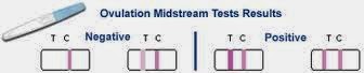 Cara Menggunakan OPK (Ovulation Test) Dengan Tepat : Kesan Waktu Subur
