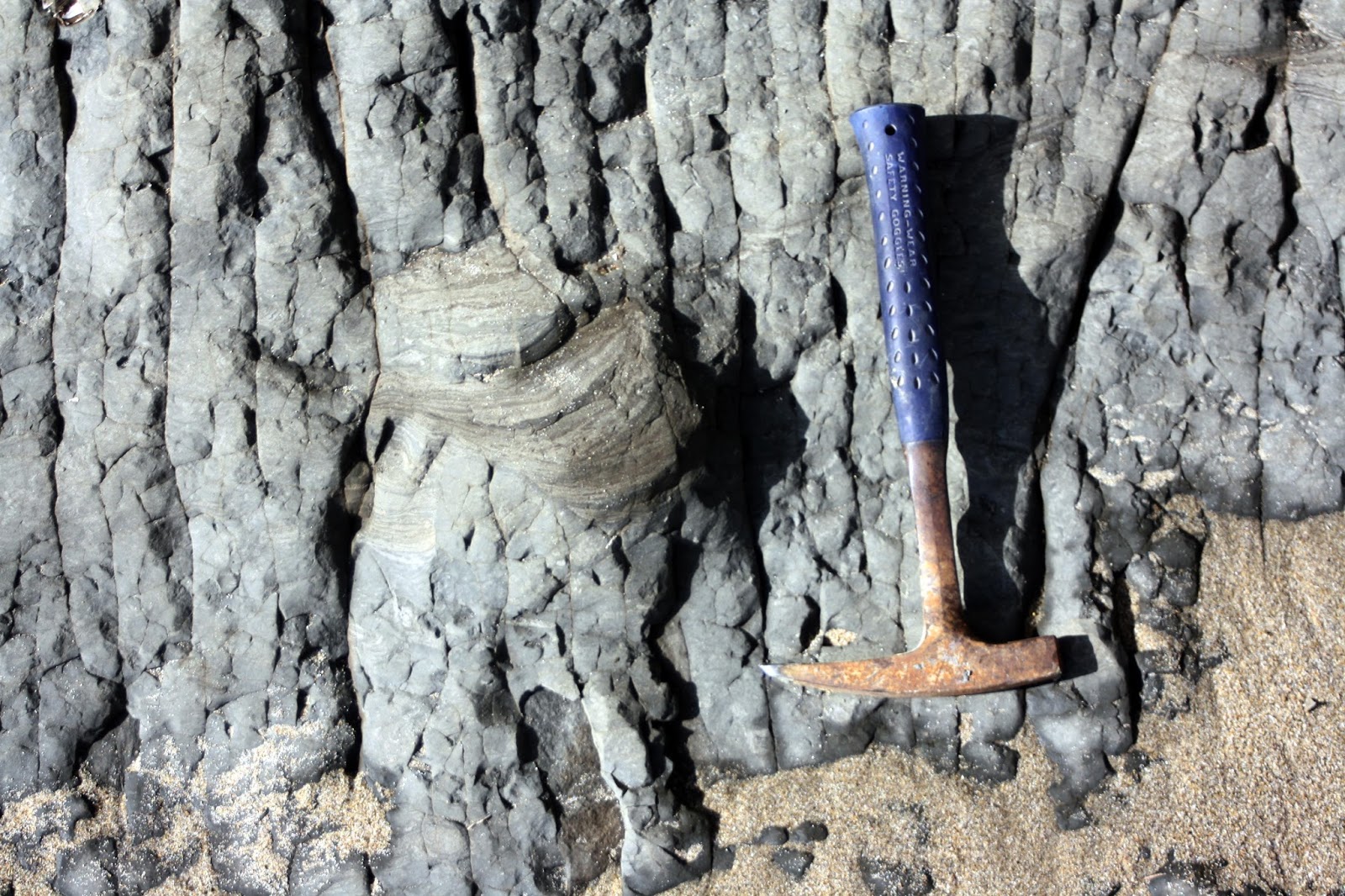The Coastal Paleontologist: July 2015