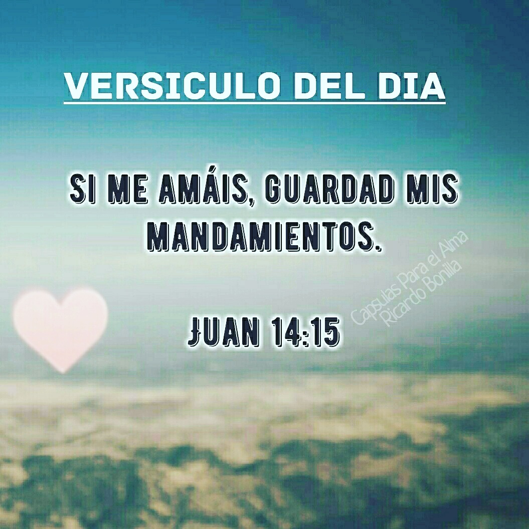 Cápsulas Para El Alma - Ricardo Bonilla: Si me amáis, guardad mis ...