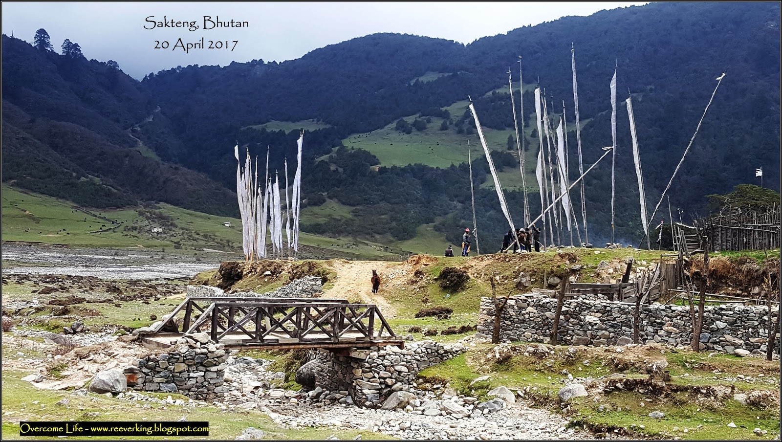 Overcome life: Journey to Merak and Sakteng: Day 4 - Relaxing day at ...