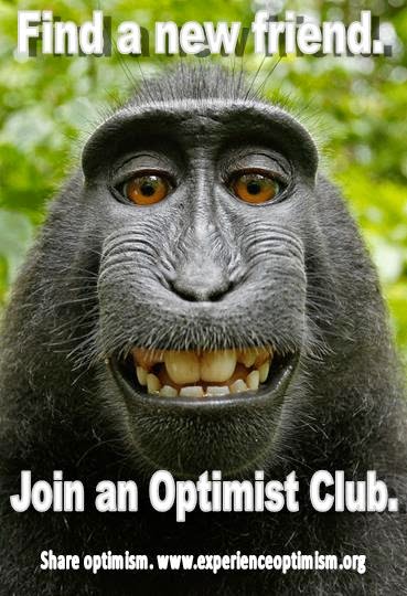 Experience Optimism: 2014