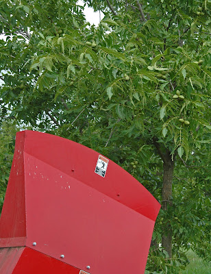 Northern Pecans: Making a pecan weevil spray