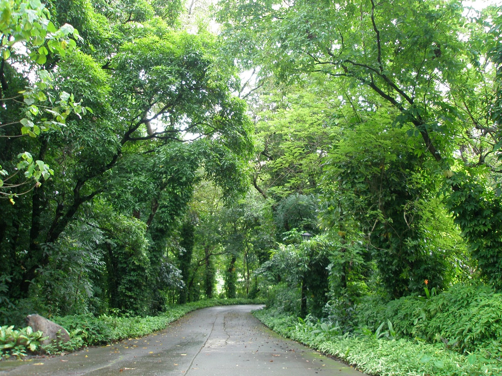 subanen - philippin news collections