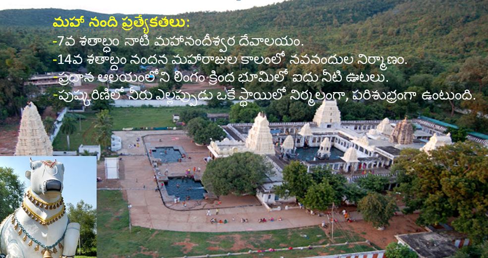 Mahanandi[kurnool] - Trours and Temples