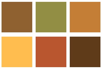 Colors of Fall | Visual Thinking