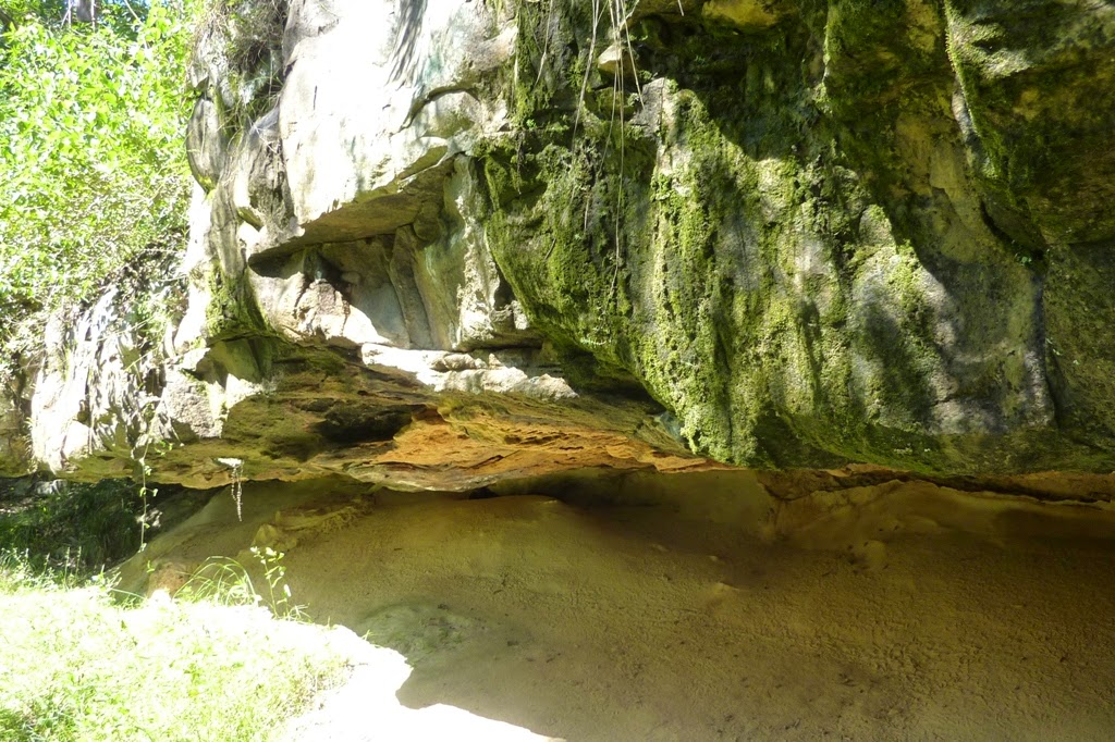 National Park Odyssey: Ravensbourne National Park and Munro's Tramway, QLD