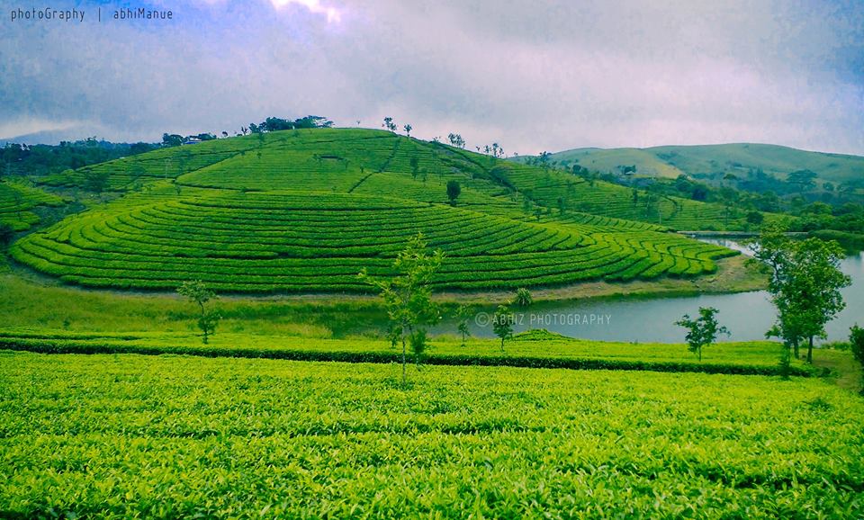 Wagamon - Dreamerz world..!!