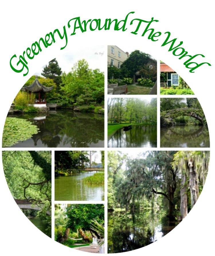 Ms. Toody Goo Shoes: TRAVEL COLLAGE: GREENERY AROUND THE WORLD