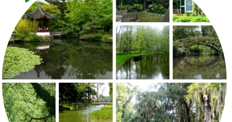 Ms. Toody Goo Shoes: TRAVEL COLLAGE: GREENERY AROUND THE WORLD