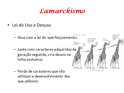 E.E.Profa. Castinauta de Barros Mello e Albuquerque - Onde a internet ...