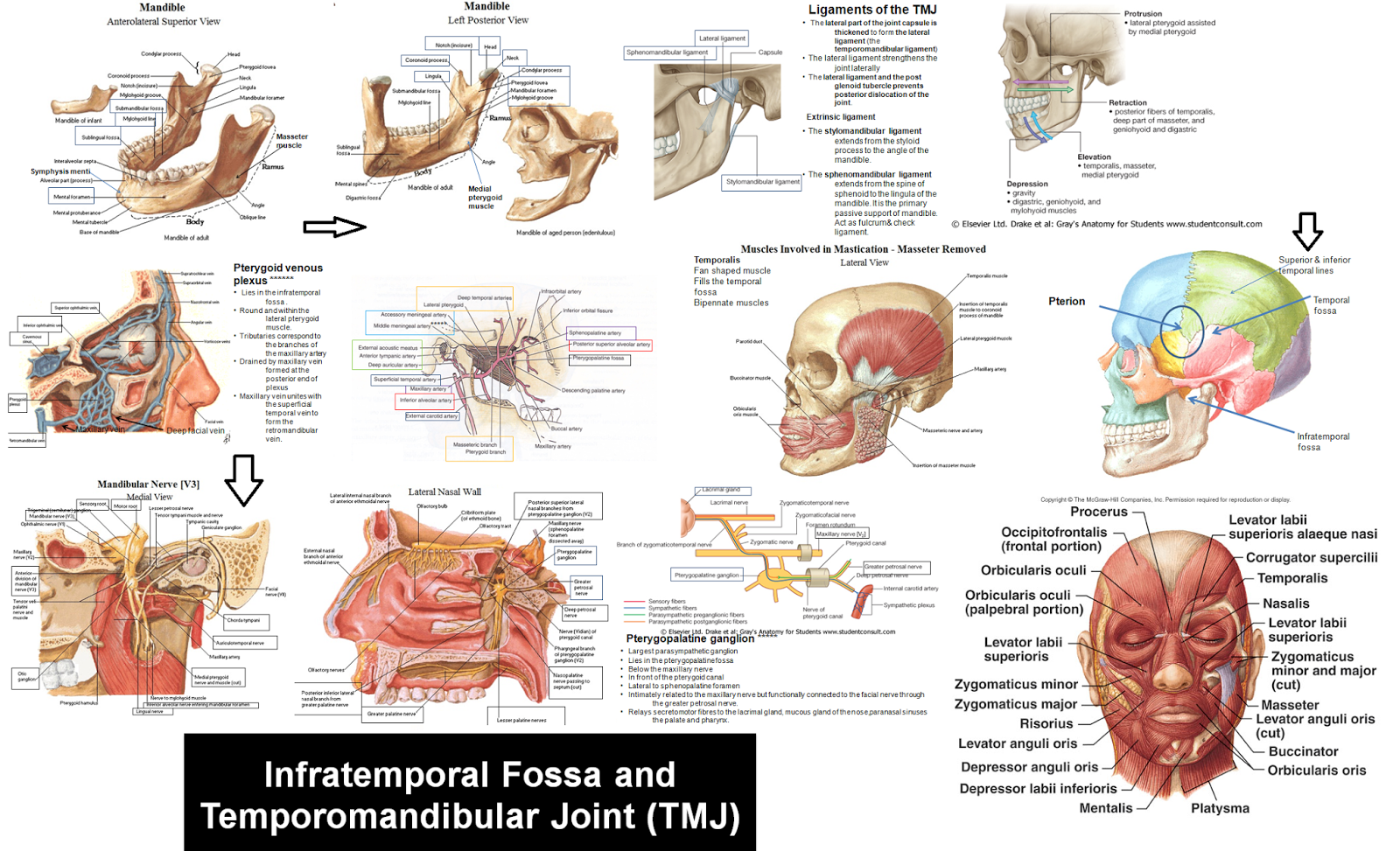 Medical Concept maps : March 2014