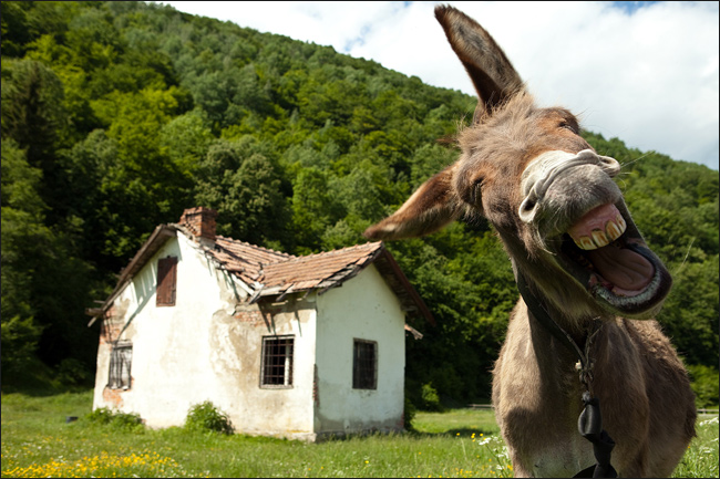 Open Mind: Criza financiara