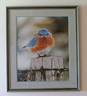 Duene's Place: Mad Bluebird