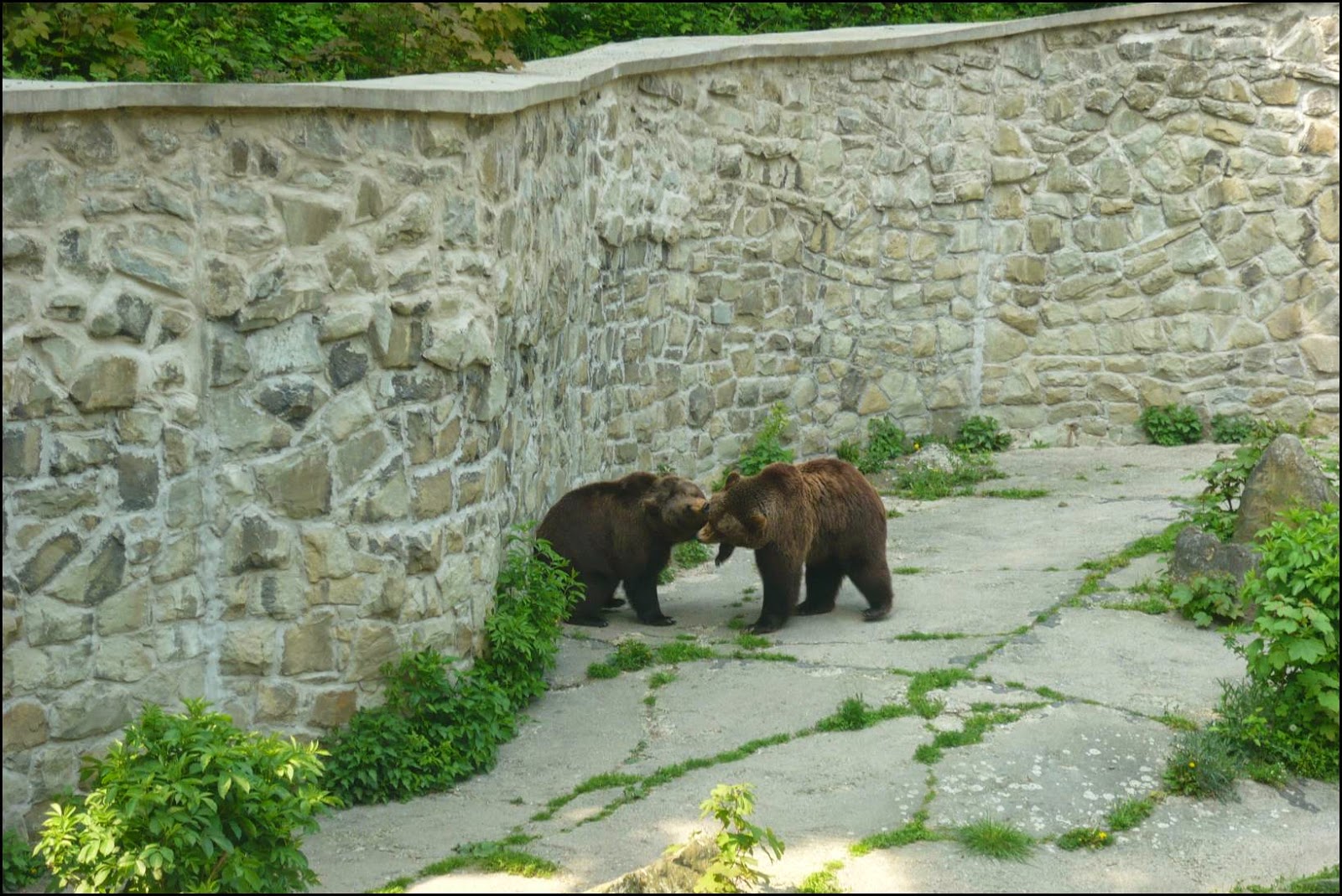 druzynamarcina: ZOO - Park Śląski w Chorzowie