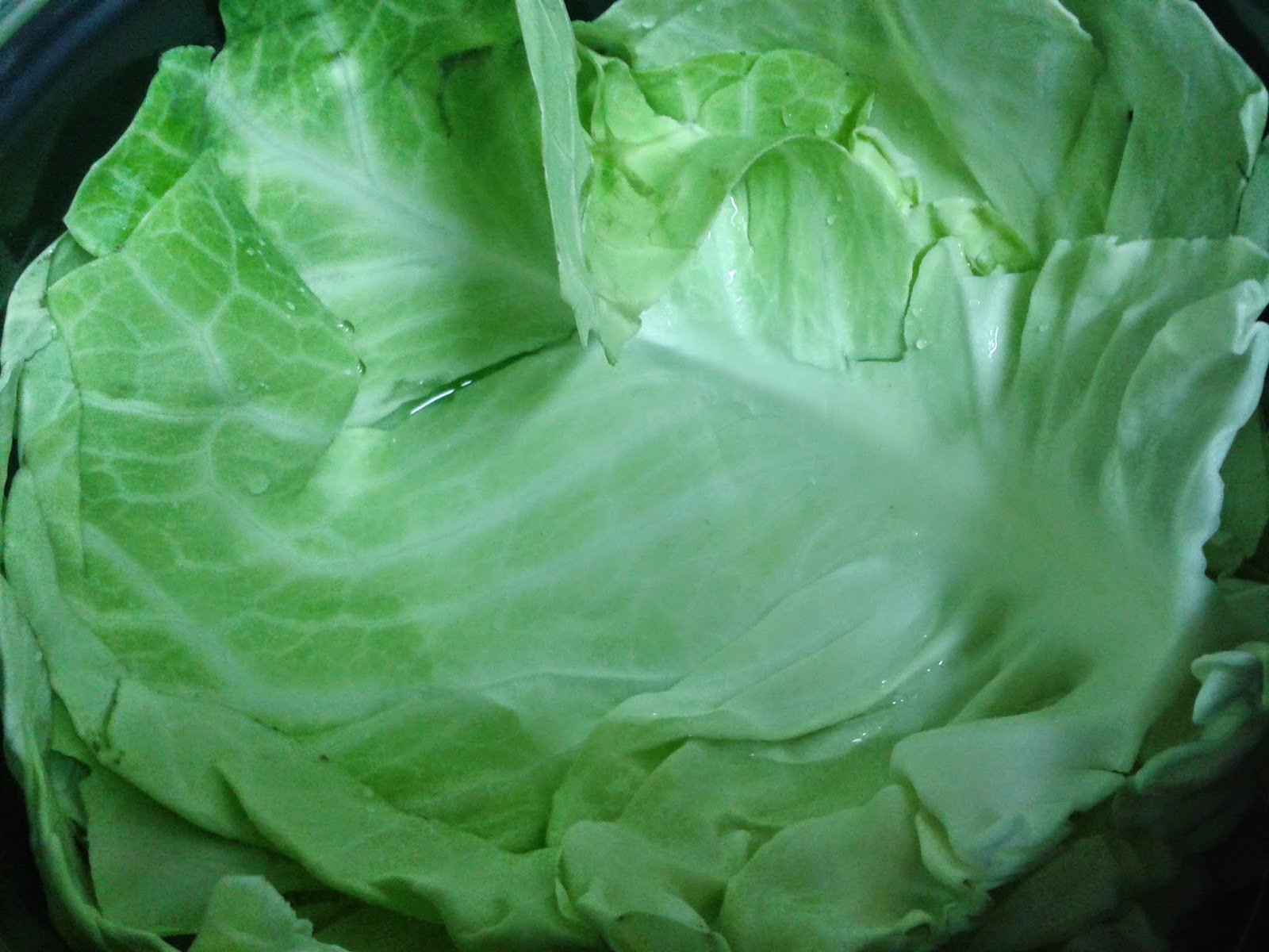 La cocina de Beli: Repollo relleno de bonito y pisto