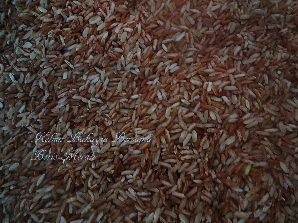 Kebun Bahagia Bersama: Beras fresh harvest 2016 dari daerah Kiulu