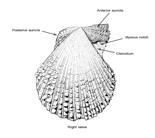 Science Happening NZ: July 2016