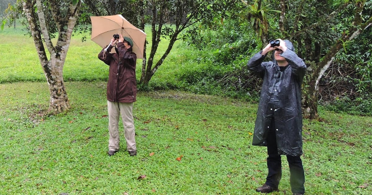¿Waterproof, Fogproof o Water-resistant? / À prova d'água, à prova de ...