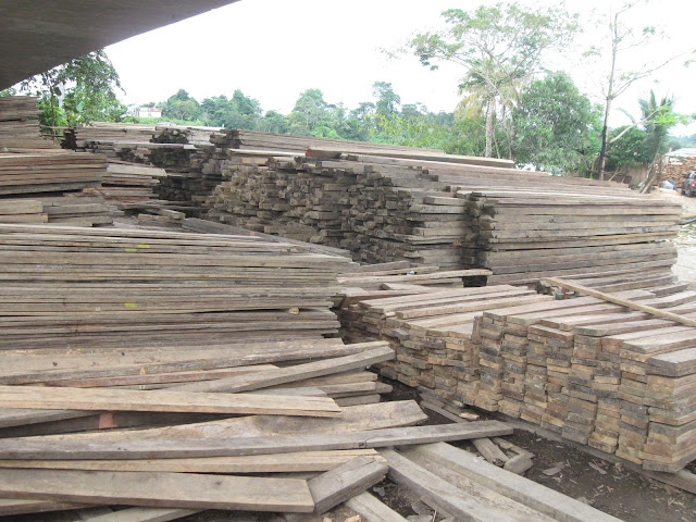 Woods Of South America/Maderas De Sur America.